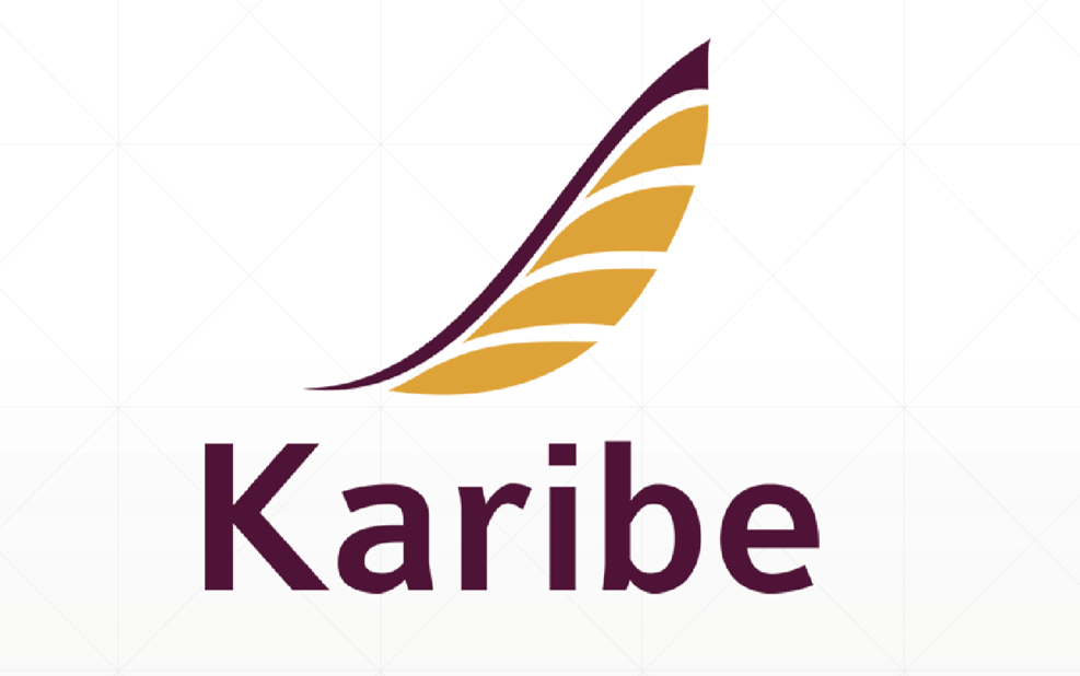 Registro de la Propiedad Digital Karibe - Learning Zone Institute LLC
